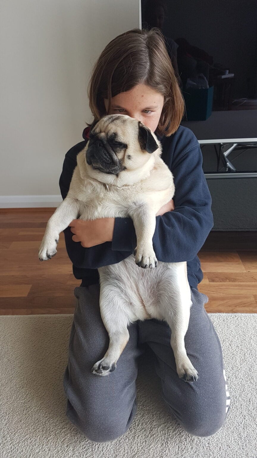 Short Term Fostering - The Cinnamon Trust