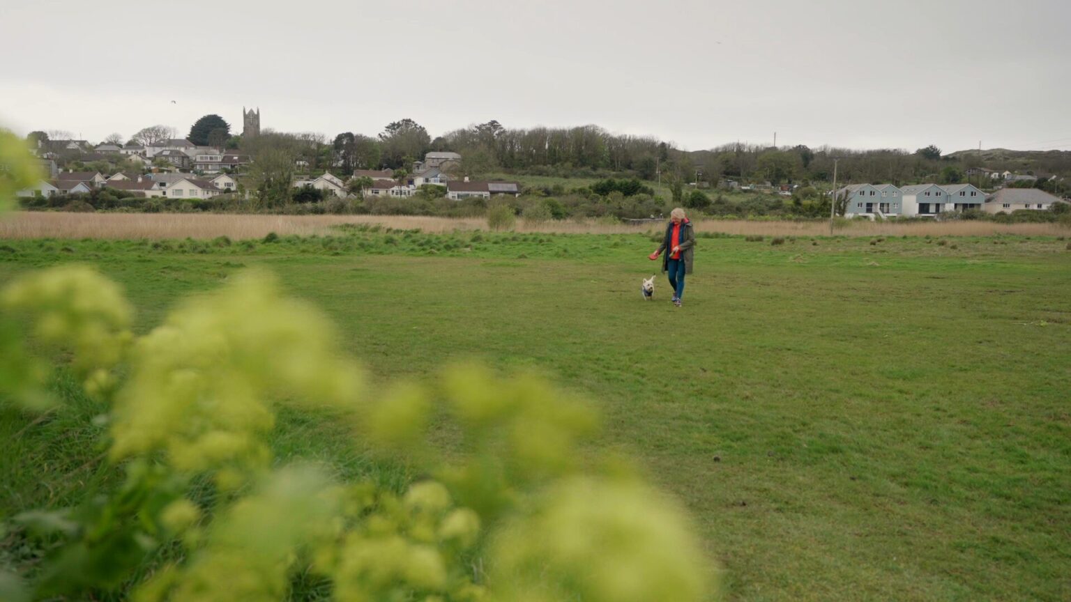 Temporary pet care - The Cinnamon Trust