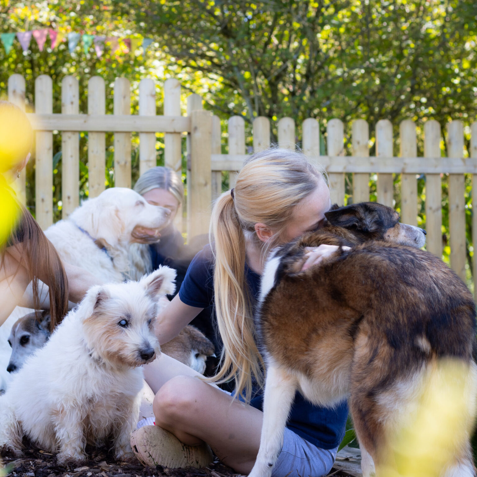 Our Sanctuaries - The Cinnamon Trust