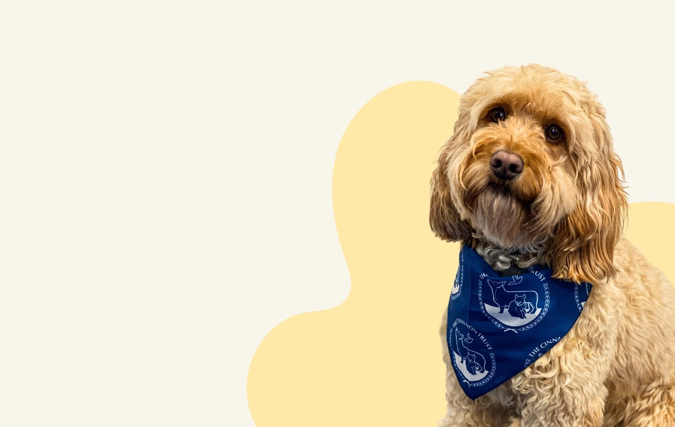 Meet The Team - The Cinnamon Trust