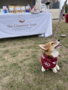 Welcome to The Cinnamon Trust - The Cinnamon Trust