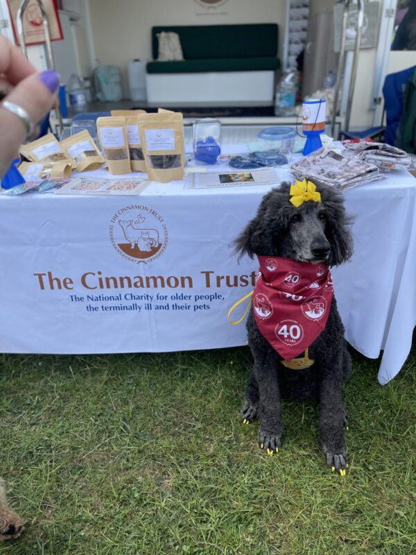 Fostering a pet - The Cinnamon Trust